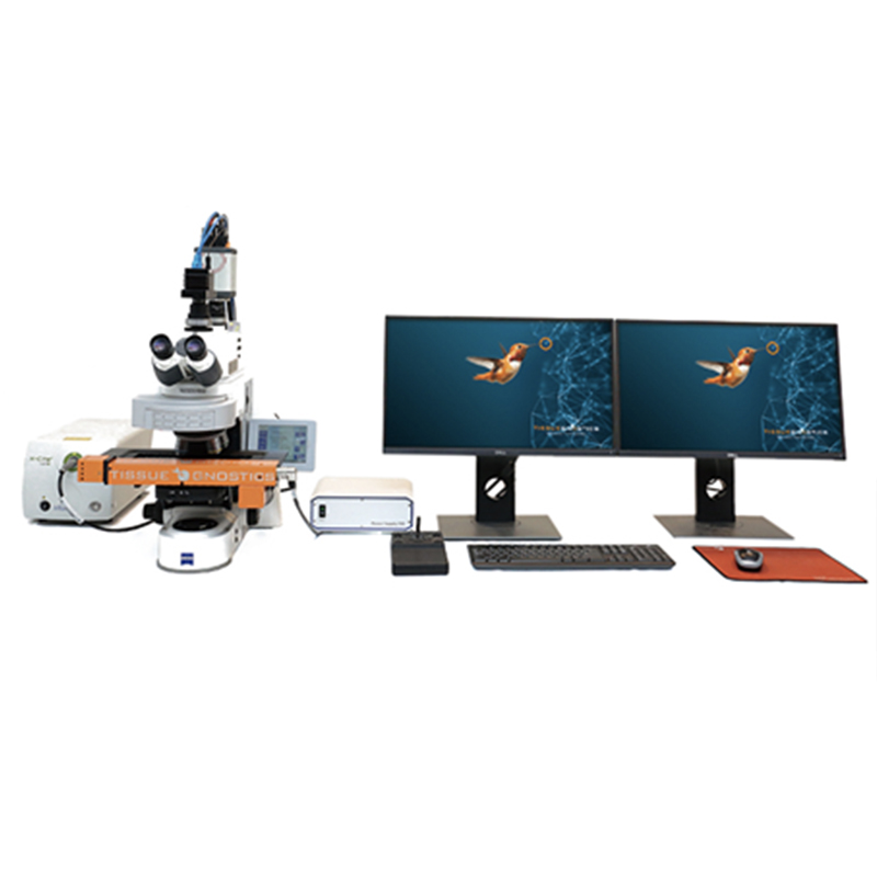 TissueFAXS 全景正置系列